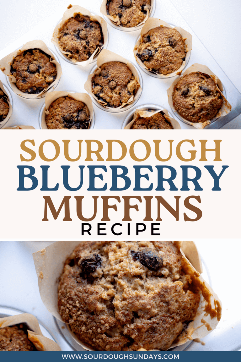 Sourdough Blueberry Muffins Recipe - Sourdough Sundays